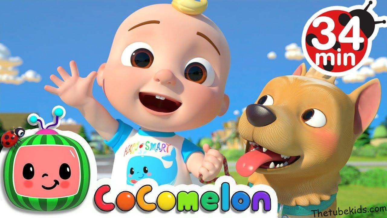 JJ Song More Nursery Rhymes Kids Songs CoComelon 2023