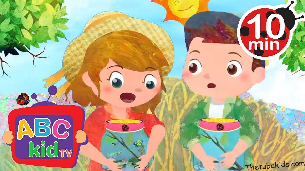 Meet the Bugs! A Fun Song for Little Learners ABC Kid TV 2025